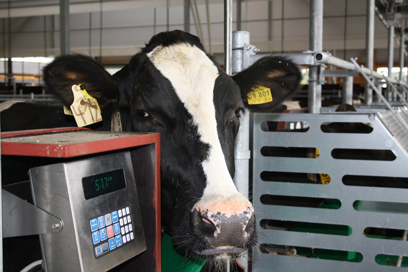 Foto-Vergrößerungen - Haus Riswick, Landwirtschaftskammer NRW